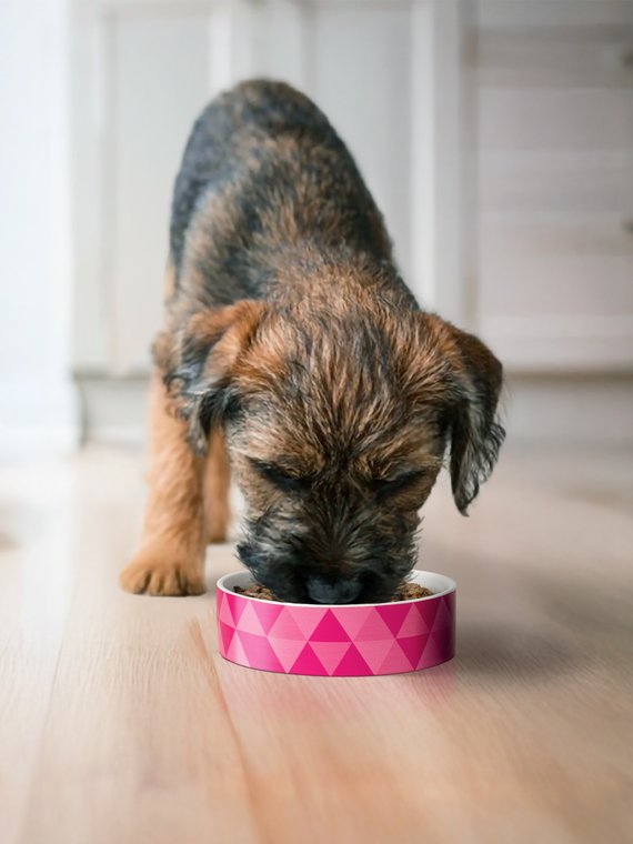 Eukanuba